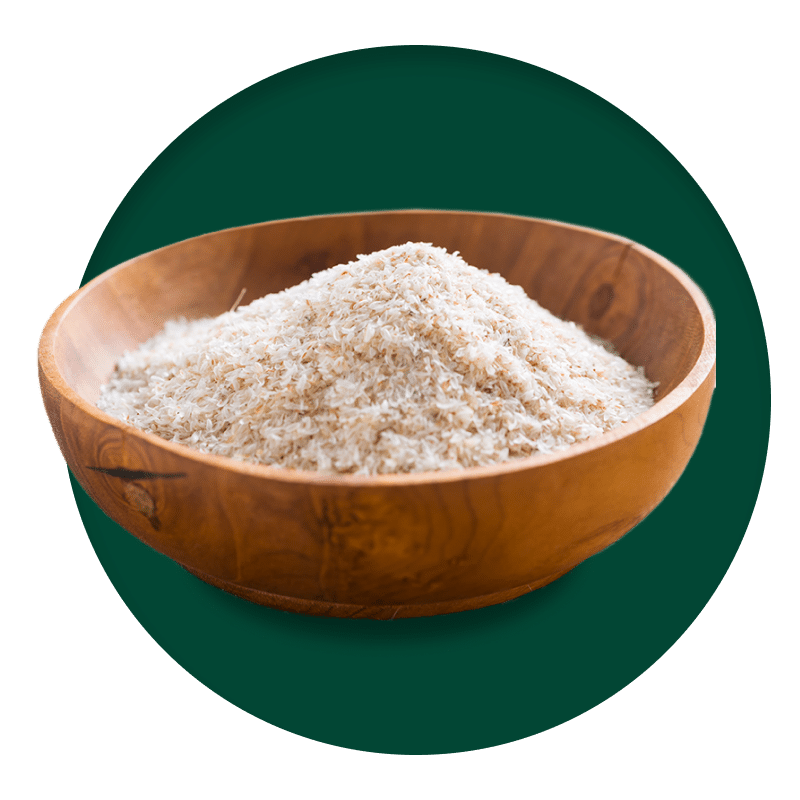 Psyllium: o que é, benefícios e Funções| Psyllogel Fibra
